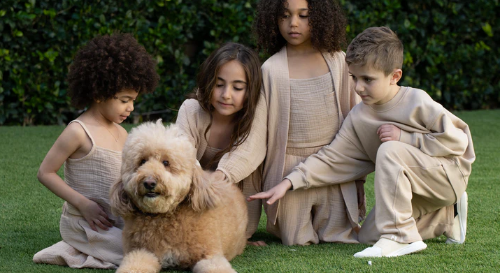 Stone Windsor – English Rabbit