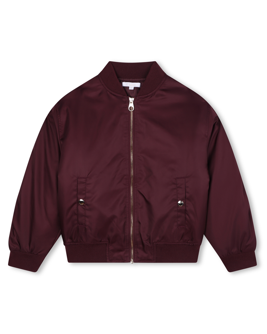 New Arrivals – English Rabbit