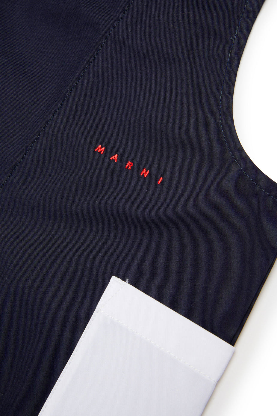 New Arrivals – English Rabbit