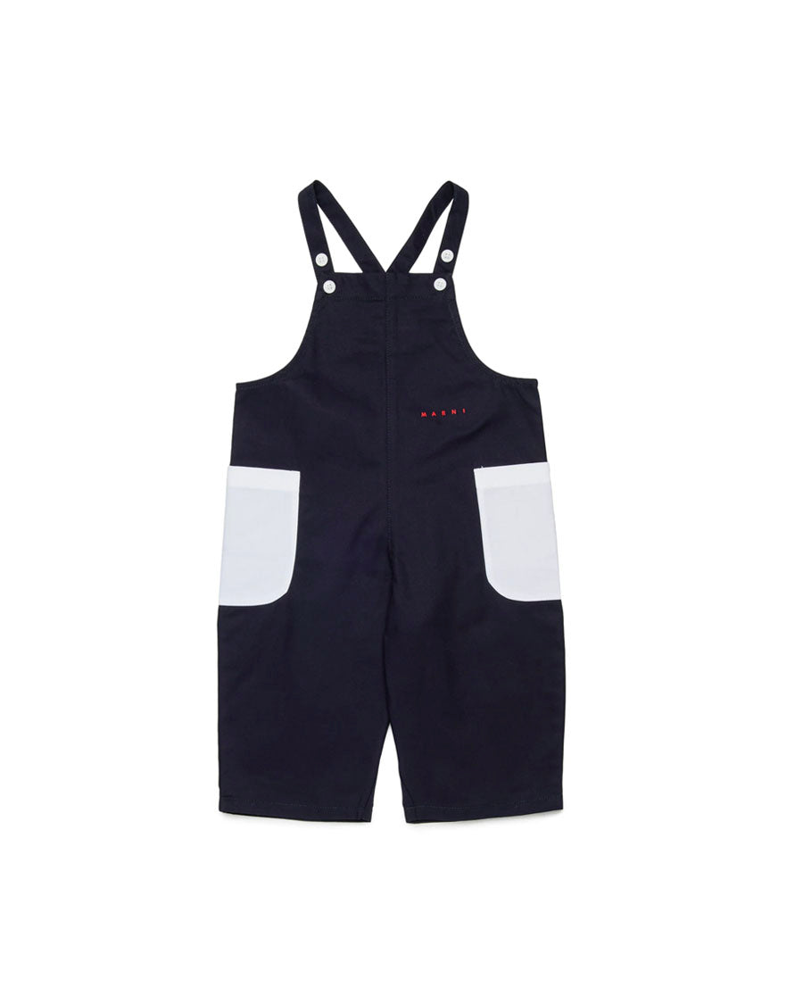 New Arrivals – English Rabbit