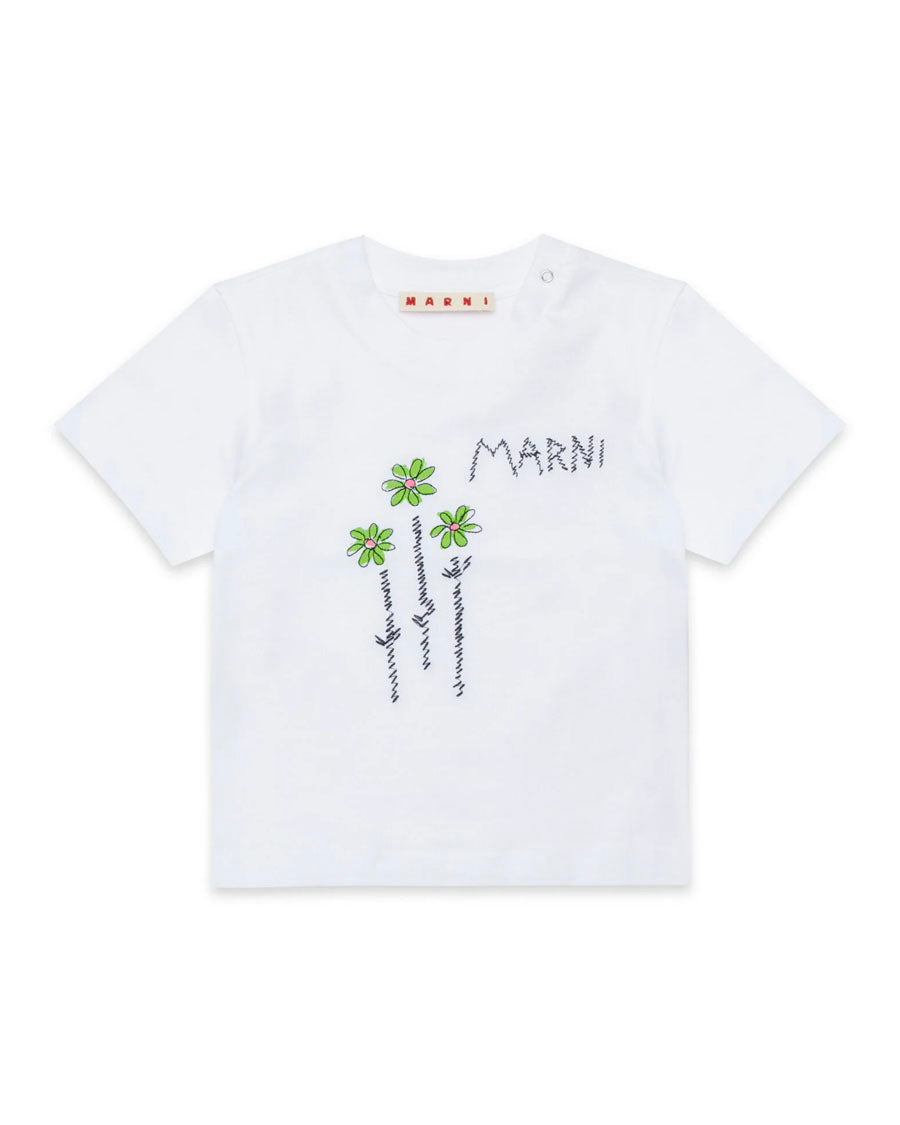 New Arrivals – English Rabbit