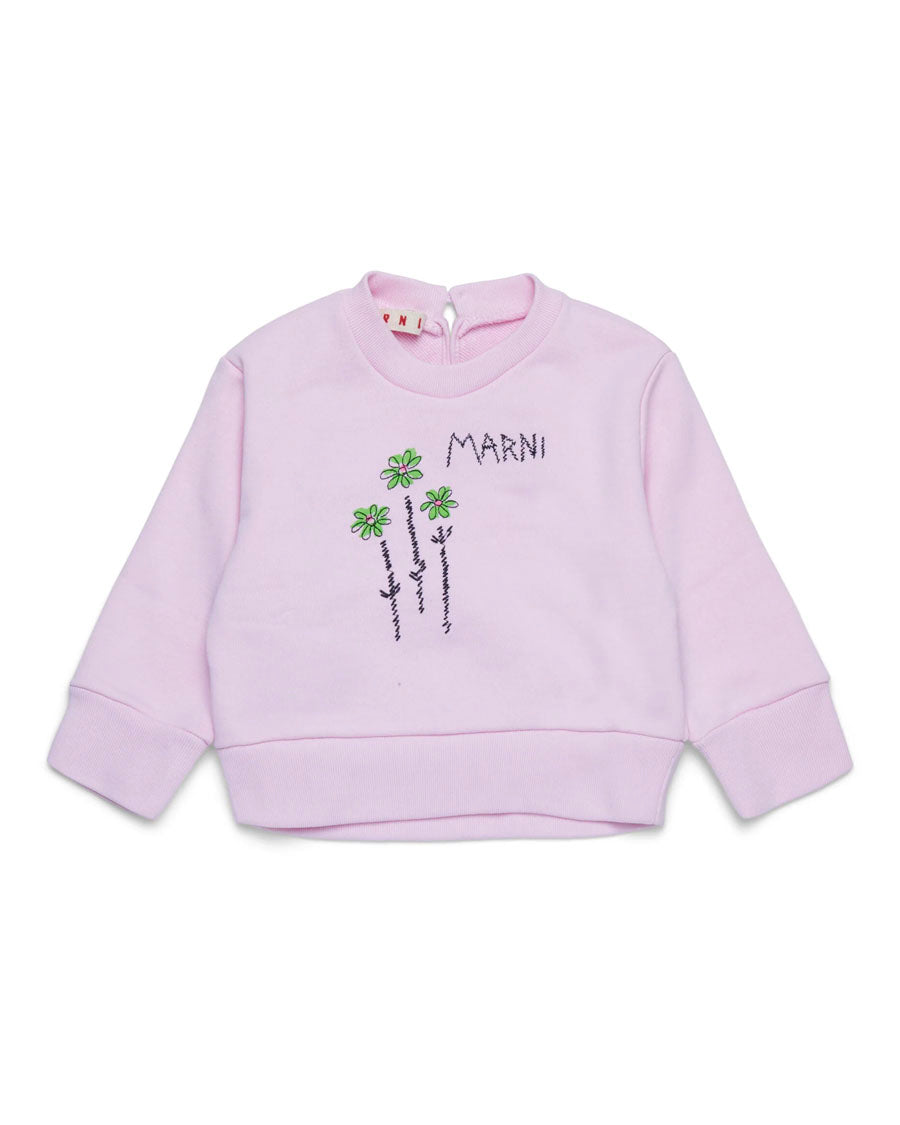 New Arrivals – English Rabbit